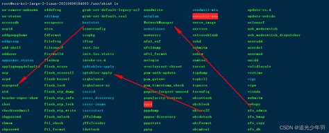 linux各目录及每个目录的详细介绍 usr local lib在哪 csdn博客