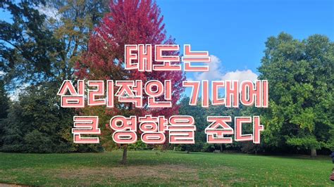 살아가는데 가장 많이 써먹는 심리학저자 지루징출판 센시오 Youtube
