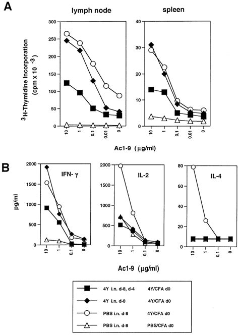 Tcr Transgenic Splenocytes Were Adoptively Transferred Into Download Scientific Diagram