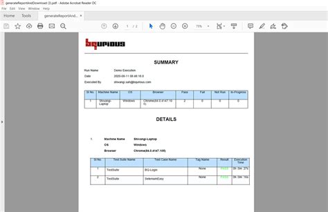 how to export execution results bqurious