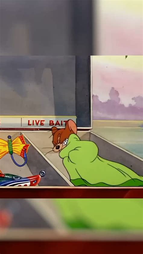 ‎توم وجيري‎ Samoo4382 • Instagram Photos And Videos