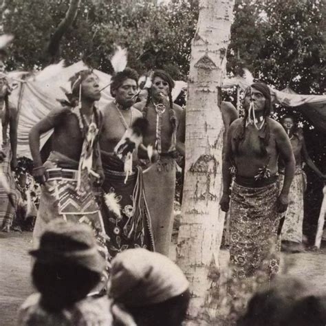 Sun Dance Cards The Universe And Everything Wiki Fandom