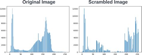 histogram of cameraman test image before and after scrambling