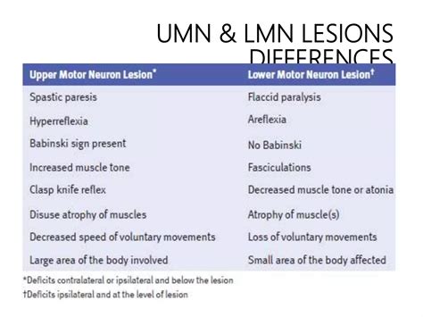 Upper And Lower Motor Neuron Lesions Pptx