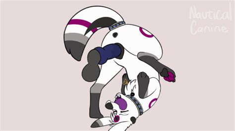 Rule 34 2022 Animal Genitalia Animal Penis Animal Pussy Animated Anus