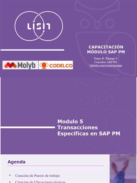 Molyb Mod 5 Transacciones Especificas En Sap Pm Pdf Planificación Horizonte