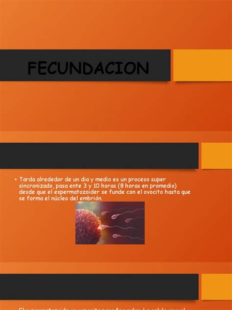 Fecundacion Pdf