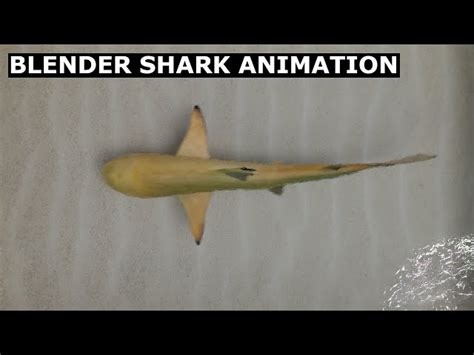 free video blender tutorial shark animation super easy from pixxo