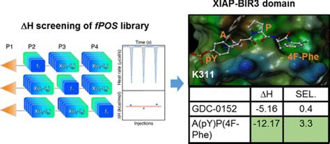 Enthalpy Based Screening Of Focused Combinatorial Libraries For The Identification Of Potent And