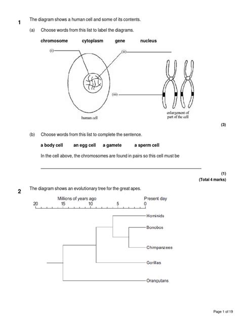 Inheritance 1 3 8 Pdf Sexual Reproduction Evolution