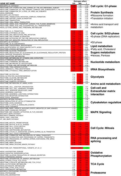 Summary Of Confero Bioconductor Estrogen Dataset Gsea Results And