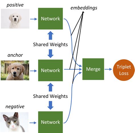 Deep Learning Architectures That You Can Use With A Few Data By Gorkem Polat The Startup