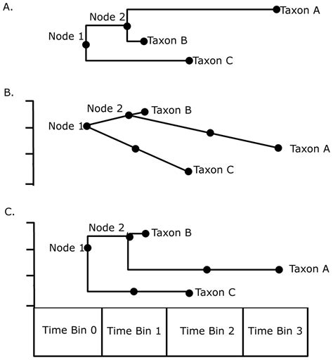 Rates Of Morphological Evolution In Captorhinidae An Adaptive Radiation Of Permian Herbivores
