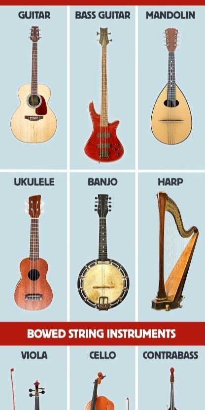 A Guide To Different Types Of Stringed Musical Instruments Electric A Guide To Different Types Of Stringed Musical Instruments Electric