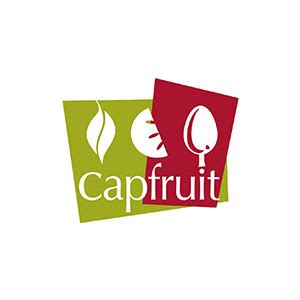 Buy Bakery Supplies Online at Best Price in India
