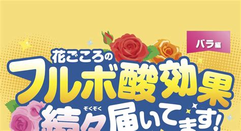 【楽天市場】送料無料】【フルボ酸活力液とバラの肥料セット】アタックt1 鉢植え バラ 薔薇 液肥 有機 デルバール 花ごころ ロサオリエンティス 河本バラ園：景品ストア 楽天市場店