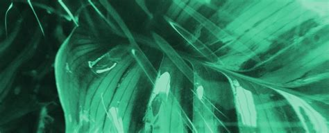 Tickets Echo System Billetweb