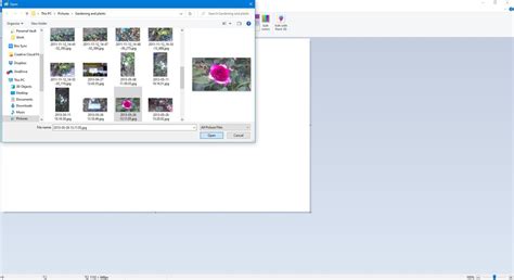 How To Crop Photos On A PC Mac Or Smartphone