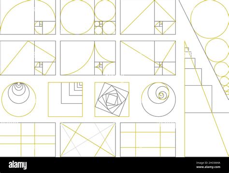 golden ratio divine proportions golden fibonacci numbers spiral