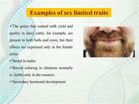Sexinfluence Sex Linked And Sex Limitedtraits Pdf