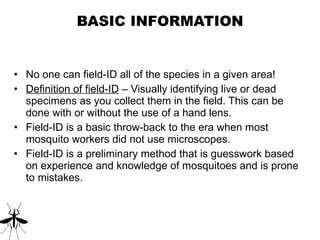 8 Field Id Adult PPT