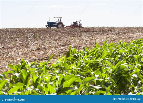 Soybean Planting Editorial Stock Image Image Of Agriculture 47100914