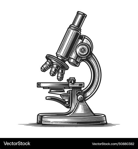 Vintage Microscope Sketch Royalty Free Vector Image