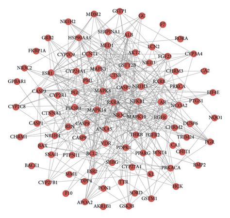 Target Identification And Analysis A Venn Plot Of The Common Targets Download Scientific