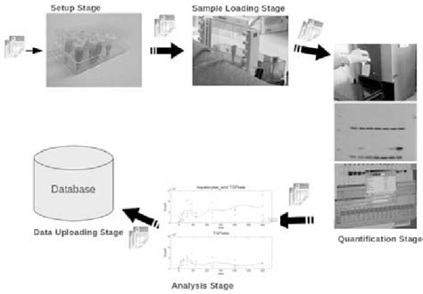 spreadsheets cover each stage of the experiment download scientific