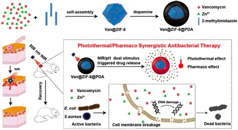 Schematic Diagram Of Photothermal Synergistic Drug Antibacterial Download Scientific Diagram