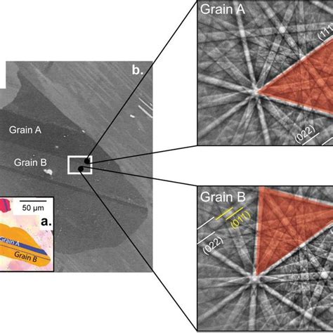 A And B Show The Microstructure Around The Regions Of Interest Roi Download Scientific
