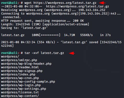 How To Install Wordpress By Command Over Ssh Shell