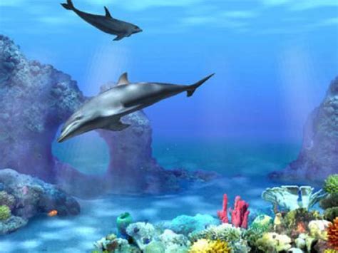 🔥 [50 ] Free Animated Dolphin Screensavers Wallpapers Wallpapersafari