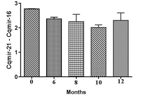 Effectsof The Significance Of Different Number Of Freezethaw Cycles On