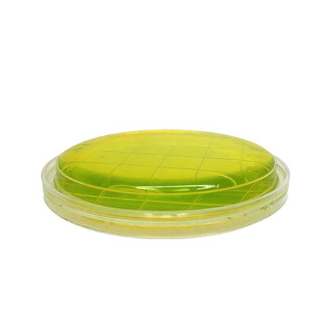 Bacillus Cereus Pemba Agar Iso Contact