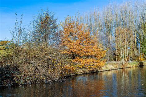 브리지 수상 운하 경치 풍경 영국 스트랫 포드 운하 워릭셔 0명에 대한 스톡 사진 및 기타 이미지 0명 가을 강 Istock