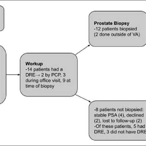 Flow Chart Demonstrating Evaluation Of 20 Patients Referred For An