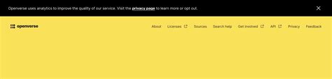 How Should We Present Analytics Opt Out In The Frontend User Interface Issue