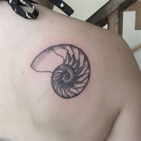 Summer Breeze On Instagram Delicate Nautilus Shell Illustration Style