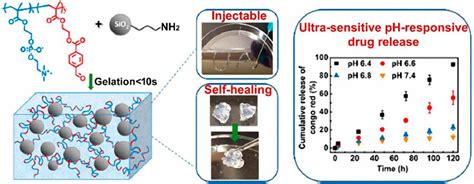 Frontiers Smart Stimuli Responsive Injectable Gels And Hydrogels For Drug Delivery And Tissue