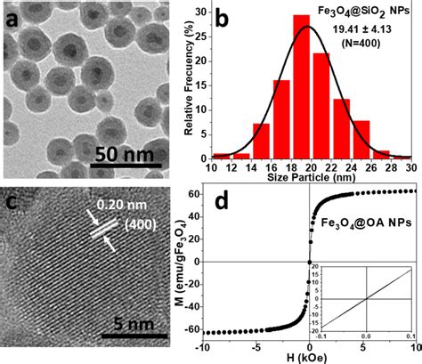 Morphological Structural And Magnetic Characterization Of Fe3o4 Sio2 Download Scientific