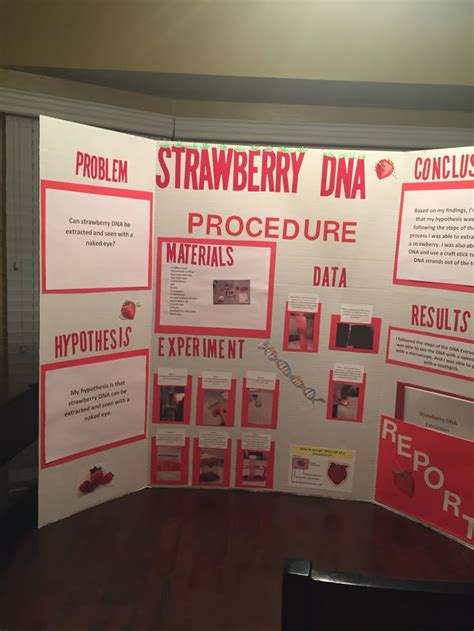 Pin By Breanna Sanchez On Strawberry Dna Easy Science Fair Projects