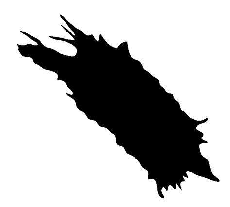 Shape Smoothing