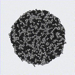 Back To The Classics Cell Sorting