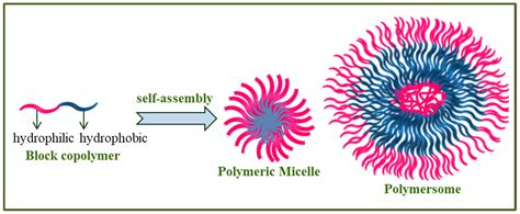 Amphiphilic Block Copolymers Their Structures And Self Assembly To Polymeric Micelles And