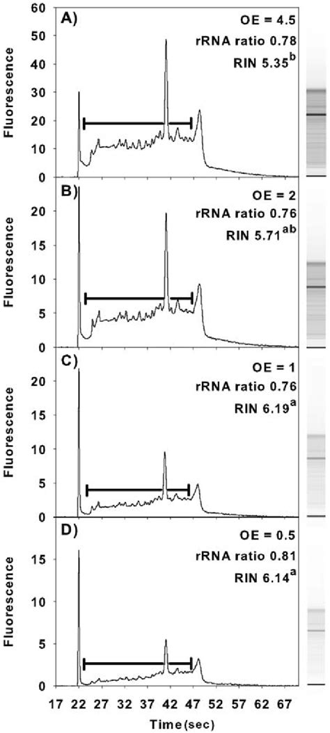 Representative Electropherograms Of Total Rna From ~4 5 A 2 B 1 Download Scientific
