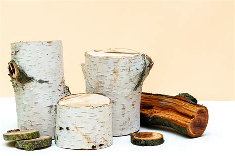 나무 그루터기 연단 나무 껍질 나무 모형 템플릿 천연 유기 에코 스파 화장품 의학 오일 크림 필수 혈청 복사 공간을 가진 허브 동종 요법 제품의 개념 0명에 대한 스톡 사진