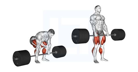 260 Barbell Workouts And Barbell Workout Ideas To Save Today Barbell