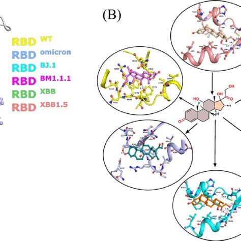 Binding And Energetics Analysis Of Dexamethasone Against Sars Cov 2 Download Scientific Diagram