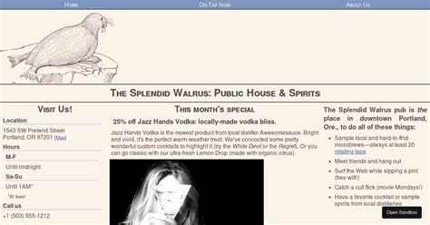Splendid Walrus Exercise Codesandbox